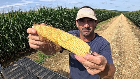 Triple R Farms